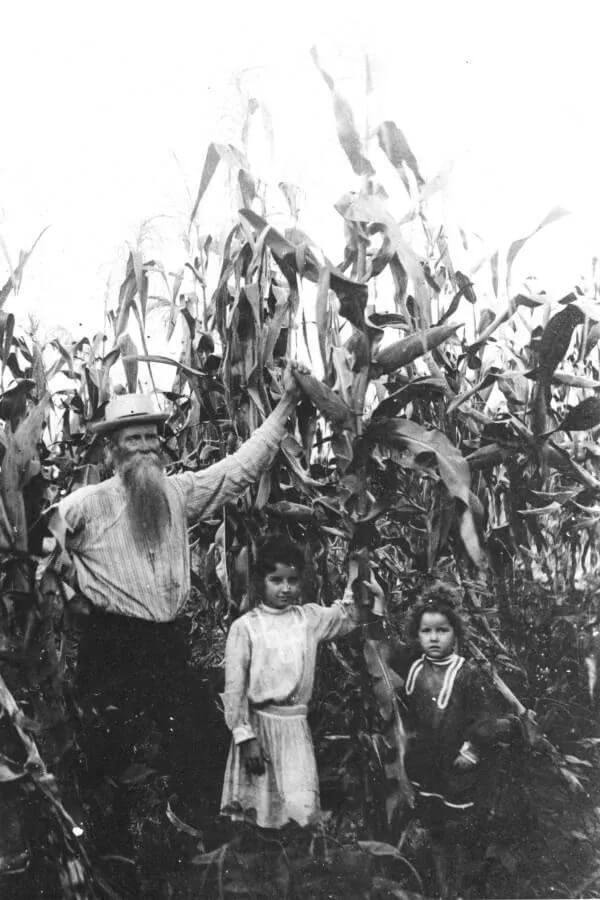 A Land Remembered, a Beloved Florida Book • Authentic Florida