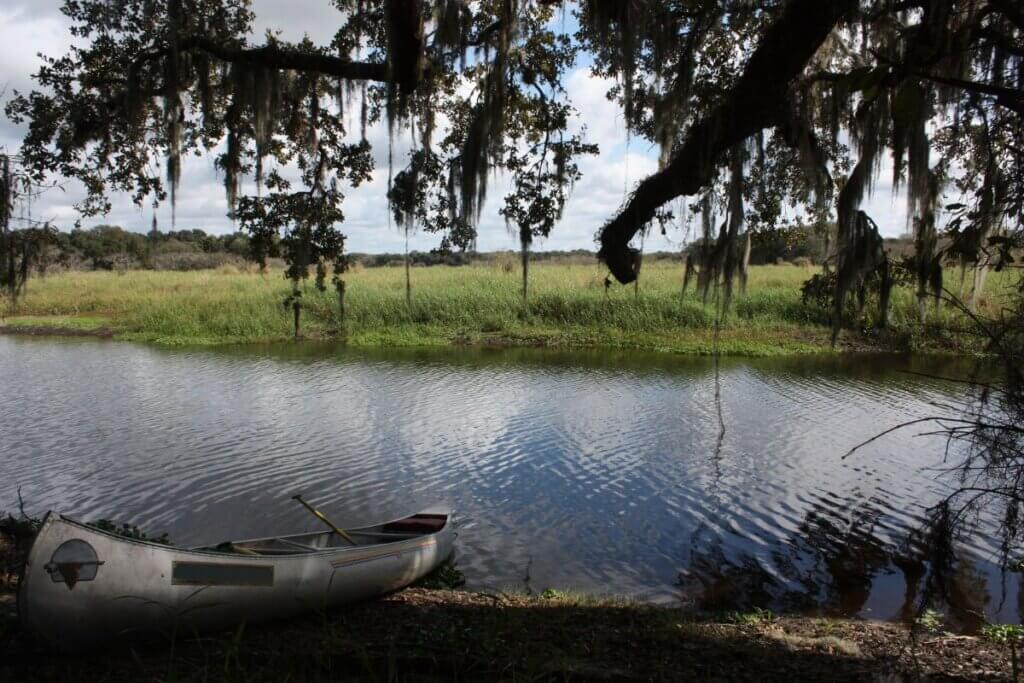 Explore Myakka River State Park • Authentic Florida
