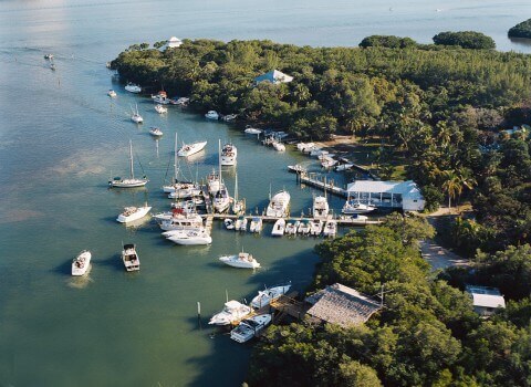 Cheeseburger in Paradise: Authentic Cabbage Key 2023