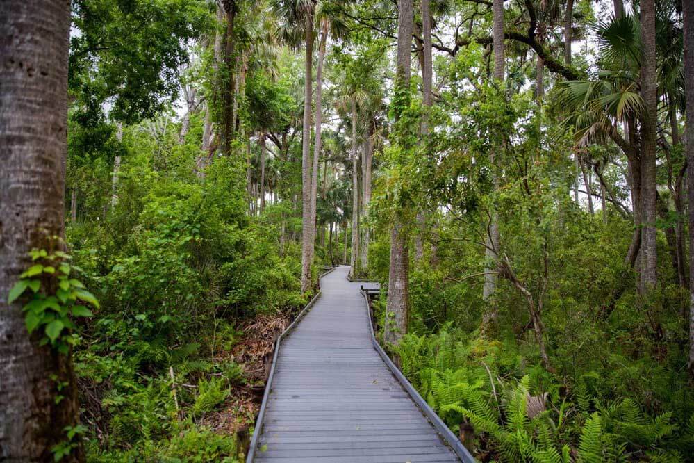 A Visit to Juniper Springs, Ocala National Forest