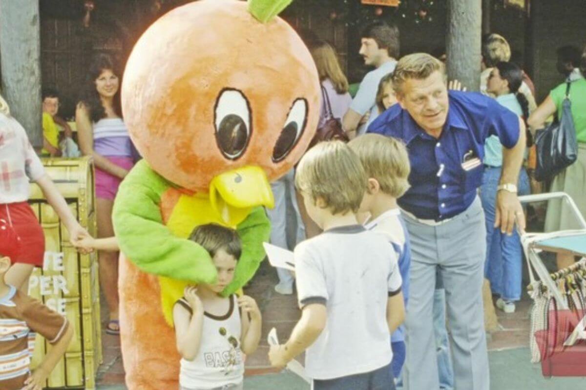 10 Most Famous Florida Mascots • Authentic Florida