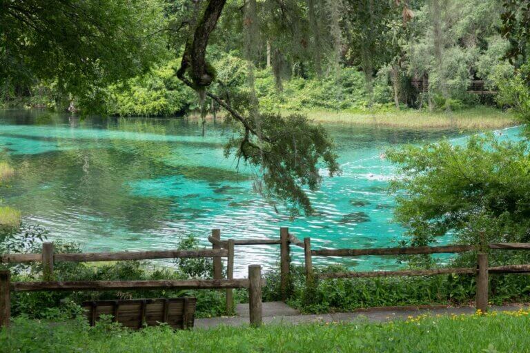A Visit to Remarkable Rainbow Springs State Park • Authentic Florida