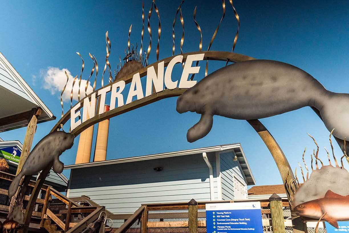 15 Great Places To See Florida Manatees * Authentic Florida