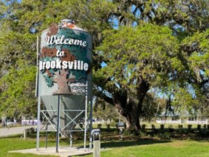 Put the Florida Mermaid Trail in Brooksville on Your Bucket List