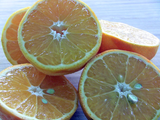 Authentic Recipe: Florida Orange & Tangerine Salad • AuthenticFlorida.com