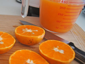 Where to Find Fresh Florida Citrus • AuthenticFlorida.com