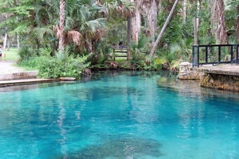 Our 19+ Favorite Freshwater Florida Springs for 2023 • Authentic Florida