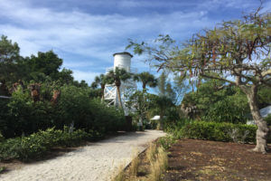 Cheeseburger in Paradise: Authentic Cabbage Key 2023