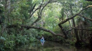 Experience the Best of Natural Old Florida on the Chaz