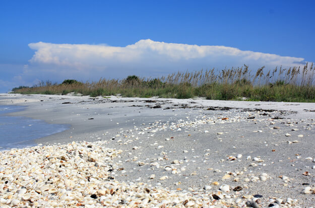 A Visit to Don Pedro Island State Park • AuthenticFlorida.com