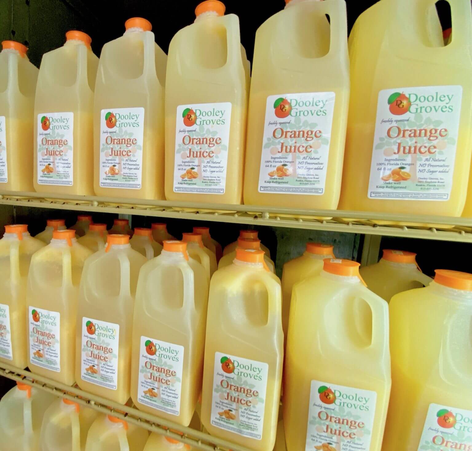 Florida Orange Juice and the Infamous Orange Bird