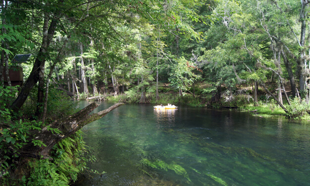 Tube the Ichetucknee River & Experience Authentic Florida