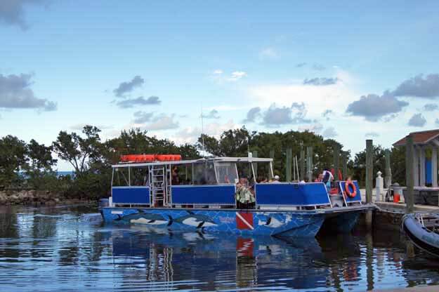 Explore & Adventure in Biscayne National Park