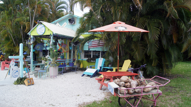 Charlotte Harbor & Its Gulf Islands