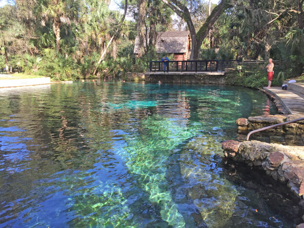 Our 19+ Favorite Freshwater Florida Springs • Authentic Florida