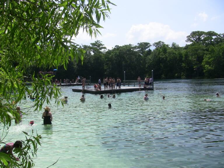 Our 19+ Favorite Freshwater Florida Springs • Authentic Florida