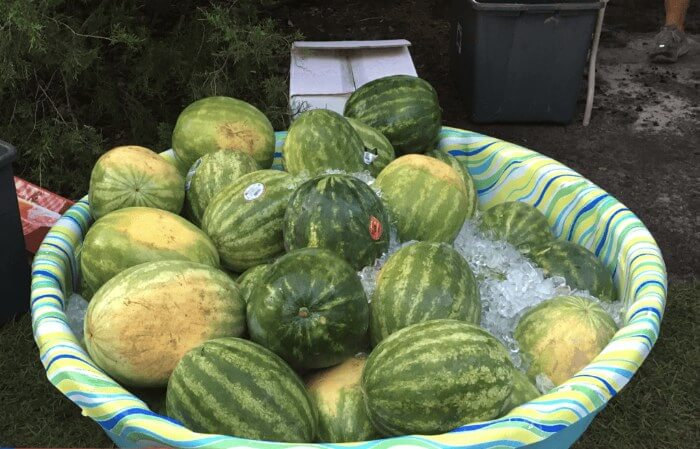 4 Ways to Use an Entire Watermelon • Authentic Florida