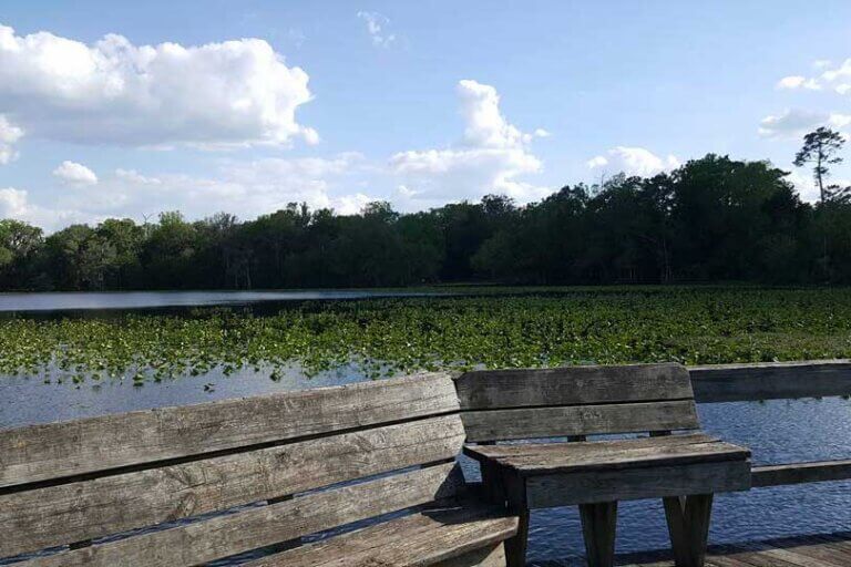 Small Towns, Big Passions: Clay County, Florida • Authentic Florida
