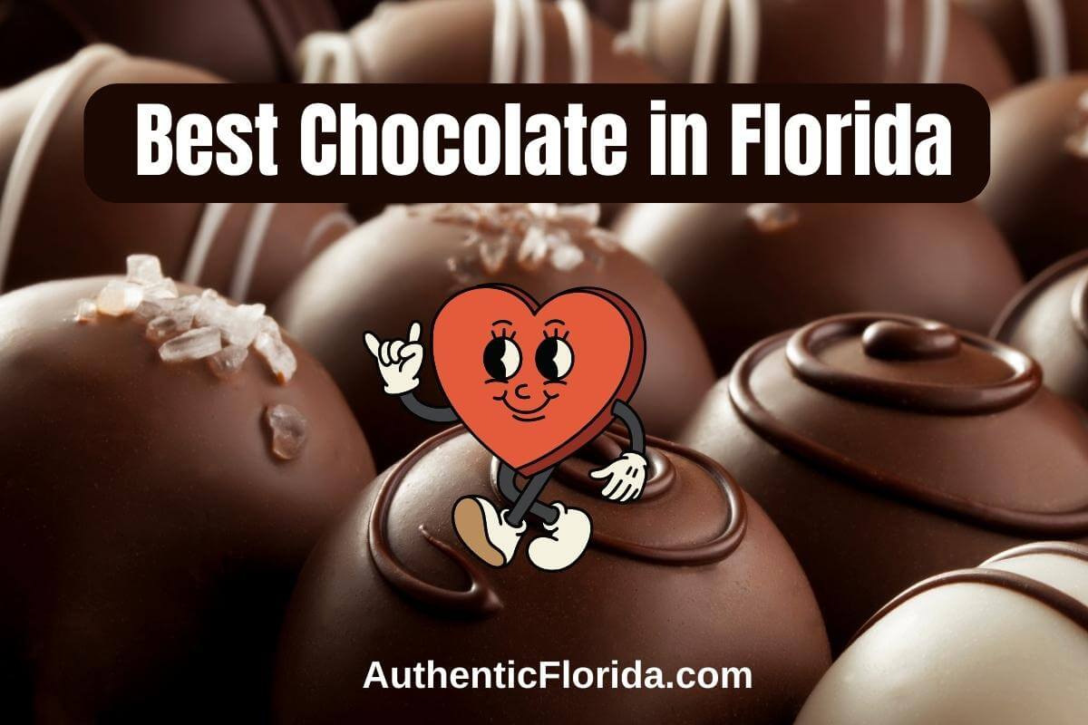 9 Places to Enjoy the Best Chocolate in Florida • Authentic Florida