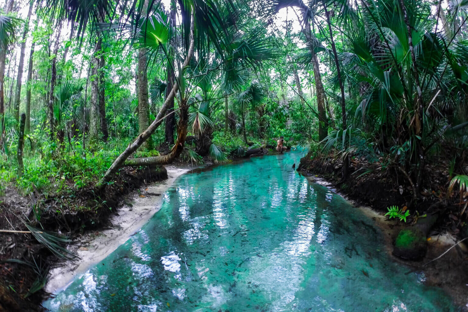 Make a Splash at These 14 Natural Waterparks in Florida