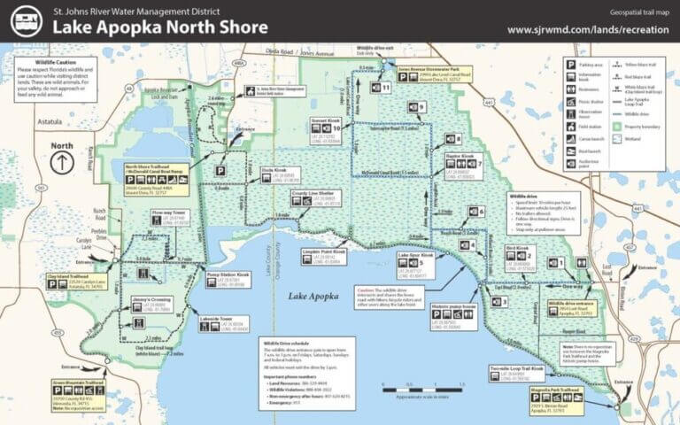 Spotlight on Spectacular Lake Apopka Wildlife Drive • Authentic Florida