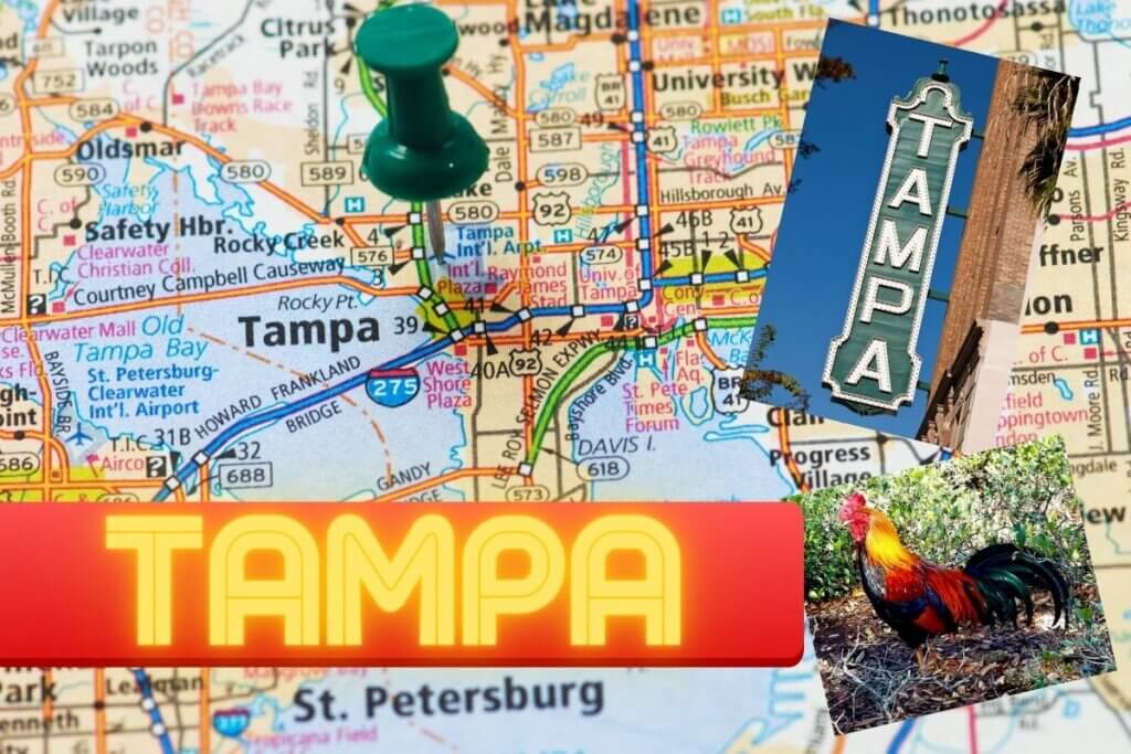 11 Top Things to Do in Tampa, Florida • Authentic Florida