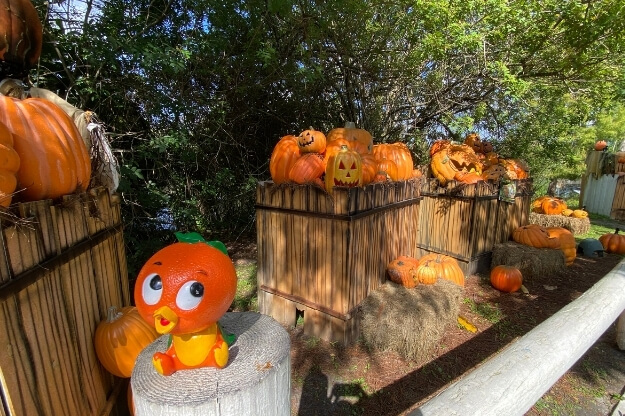 Our Top 10 October Events in Florida • AuthenticFlorida.com