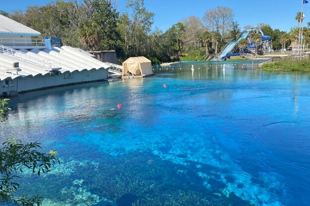 6 Magical Places to See Florida Mermaids • Authentic Florida