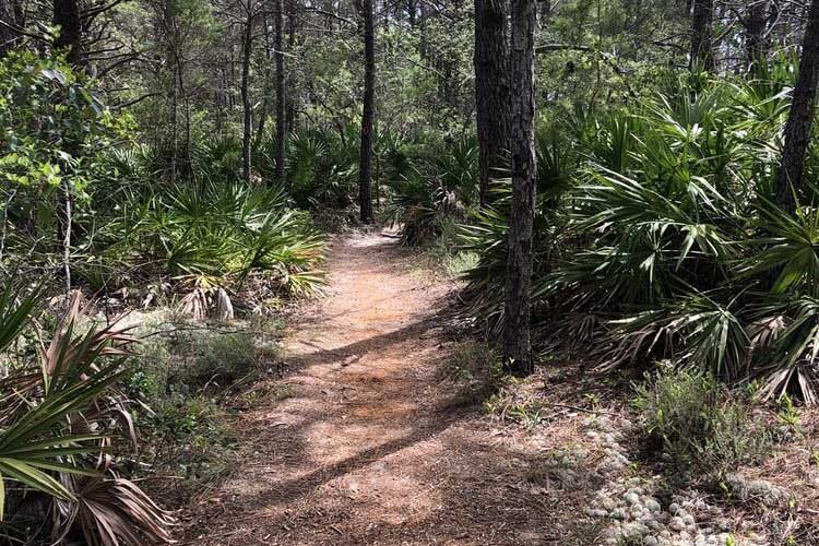 10 Top Things to Do in Santa Rosa Beach, FL • Authentic Florida