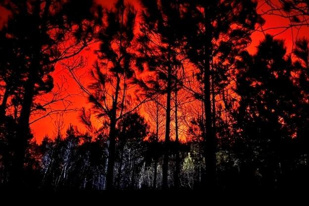 Be Wildfire Ready, Authentic Floridians! • AuthenticFlorida.com