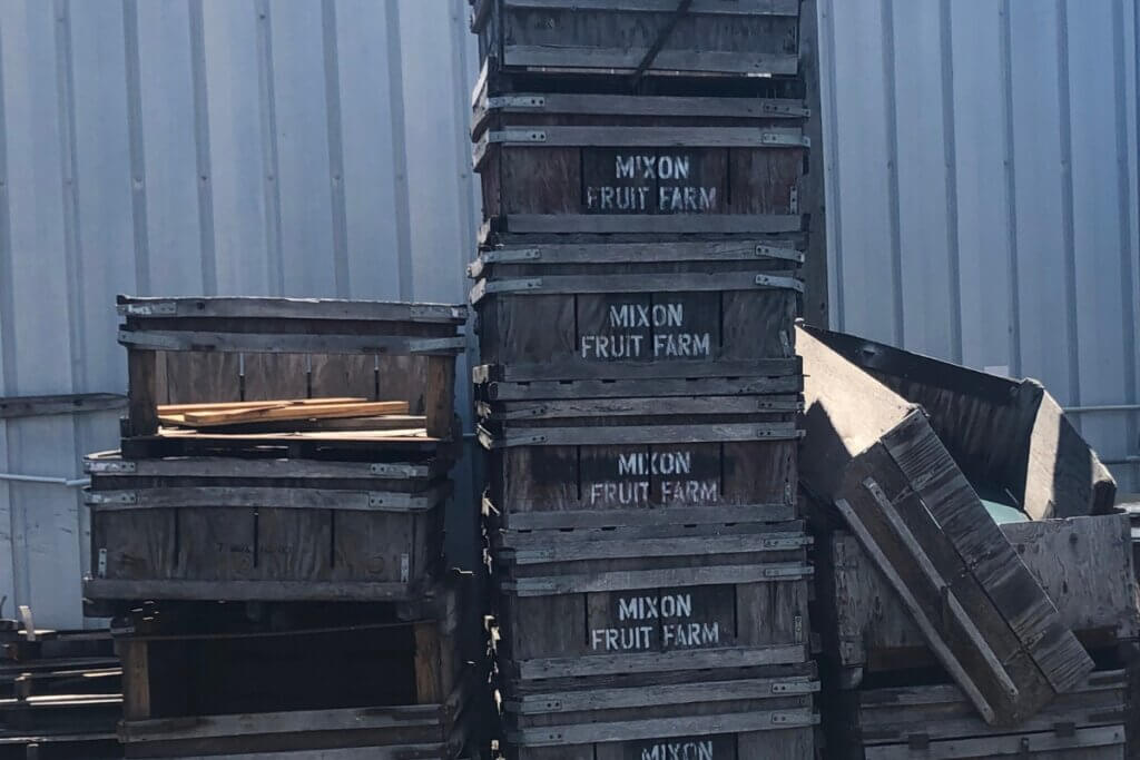 Top 5 Reasons to Visit Mixon Fruit Farms Before July 30, 2023