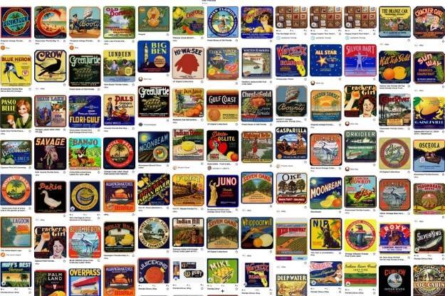 The Nostalgic Art of Florida's Vintage Citrus Labels • AuthenticFlorida.com