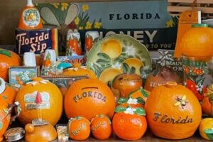 23 Items for Our 2023 Florida Bucket List • Authentic Florida