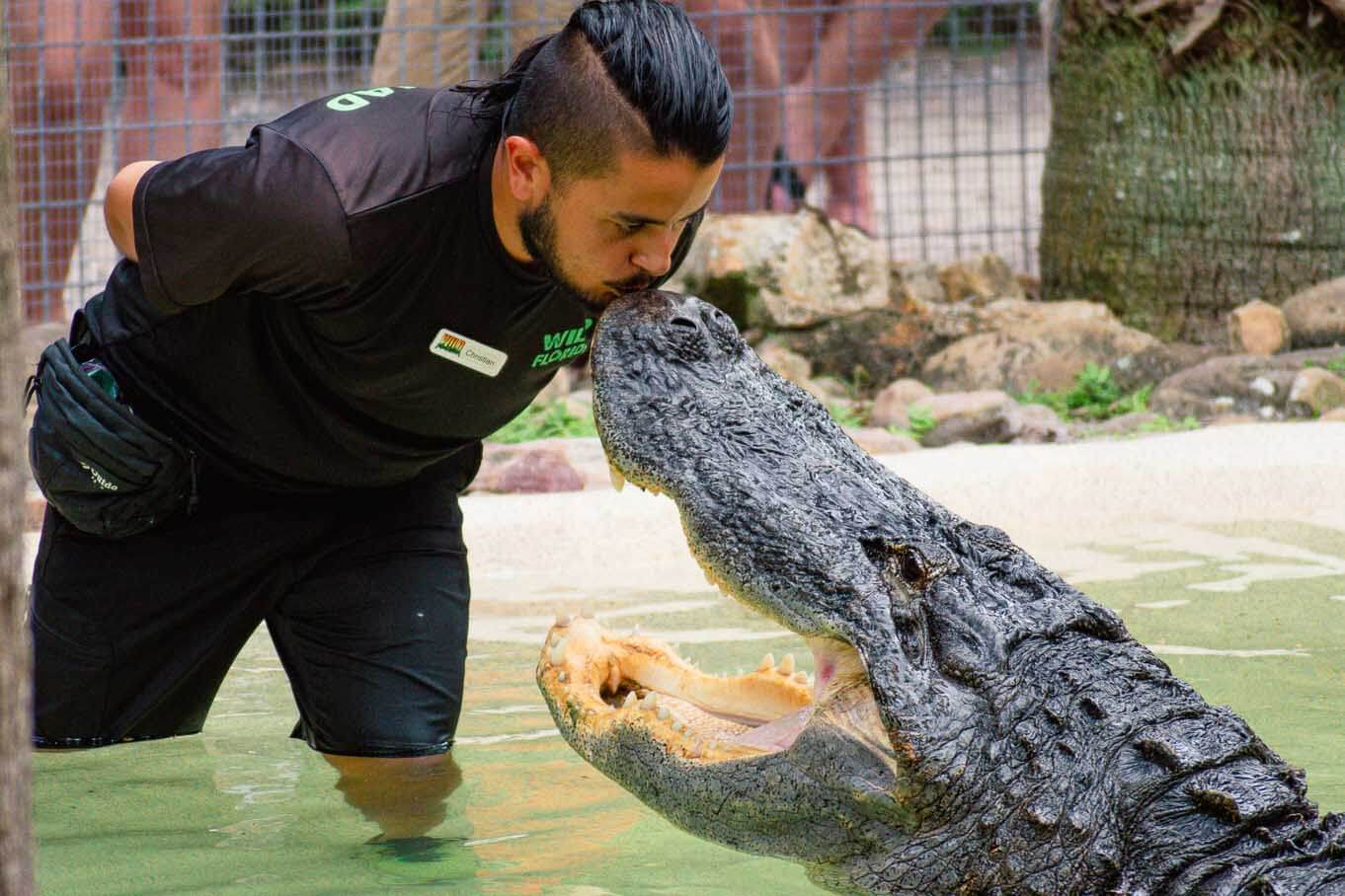 10 Florida Alligator Parks You Won't Want to Miss • Authentic Florida