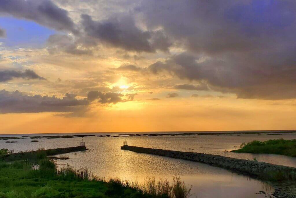 10 Florida Alligator Parks You Won't Want to Miss • Authentic Florida