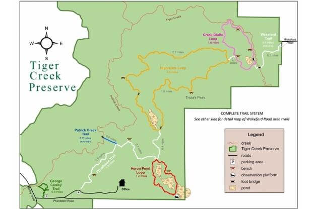 Tiger Creek Preserve: Part of Florida's Ancient Islands • Authentic Florida
