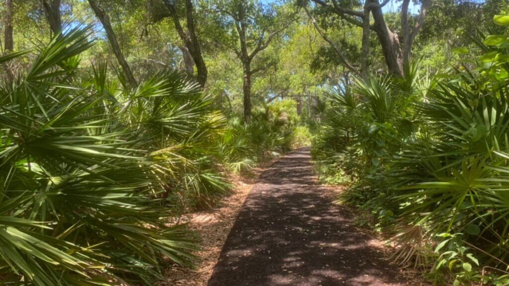 6 Must-Have Apps for Exploring Florida's Great Outdoors