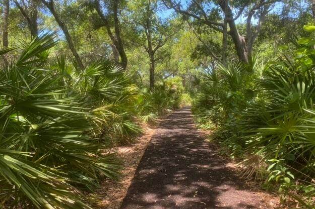 Types of Outdoor Adventure Trails in Florida • AuthenticFlorida.com