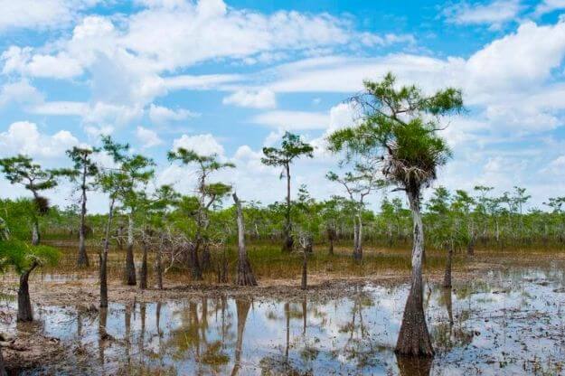 7 Places to Discover in Florida's Ten Thousand Islands • Authentic Florida