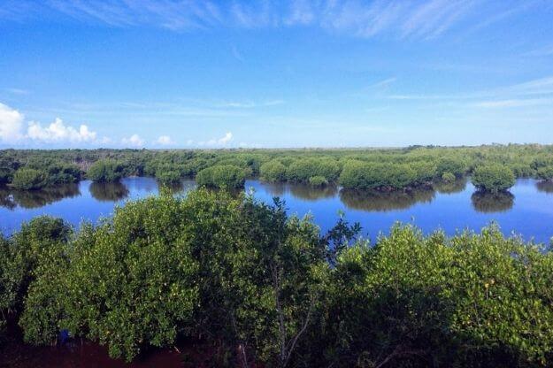 7 Places to Discover in Florida's Ten Thousand Islands • Authentic Florida