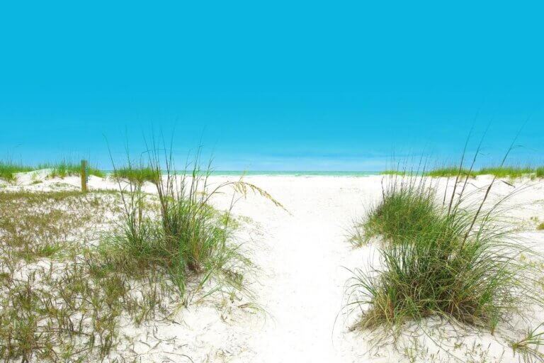 Top 10 Best Beaches in Southwest Florida • Authentic Florida