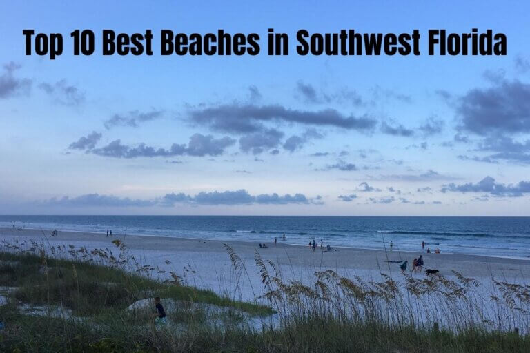 Top 10 Best Beaches in Southwest Florida • Authentic Florida