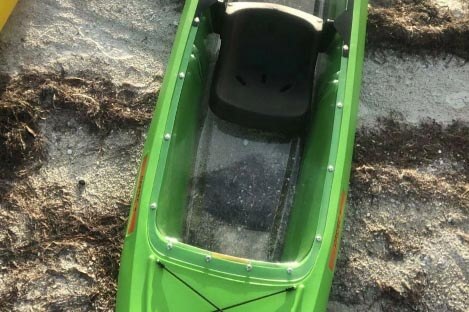 6 Best Glass Bottom Boat Tours in Florida • Authentic Florida