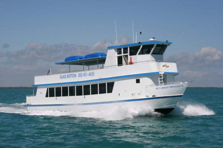 6 Best Glass Bottom Boat Tours in Florida • Authentic Florida