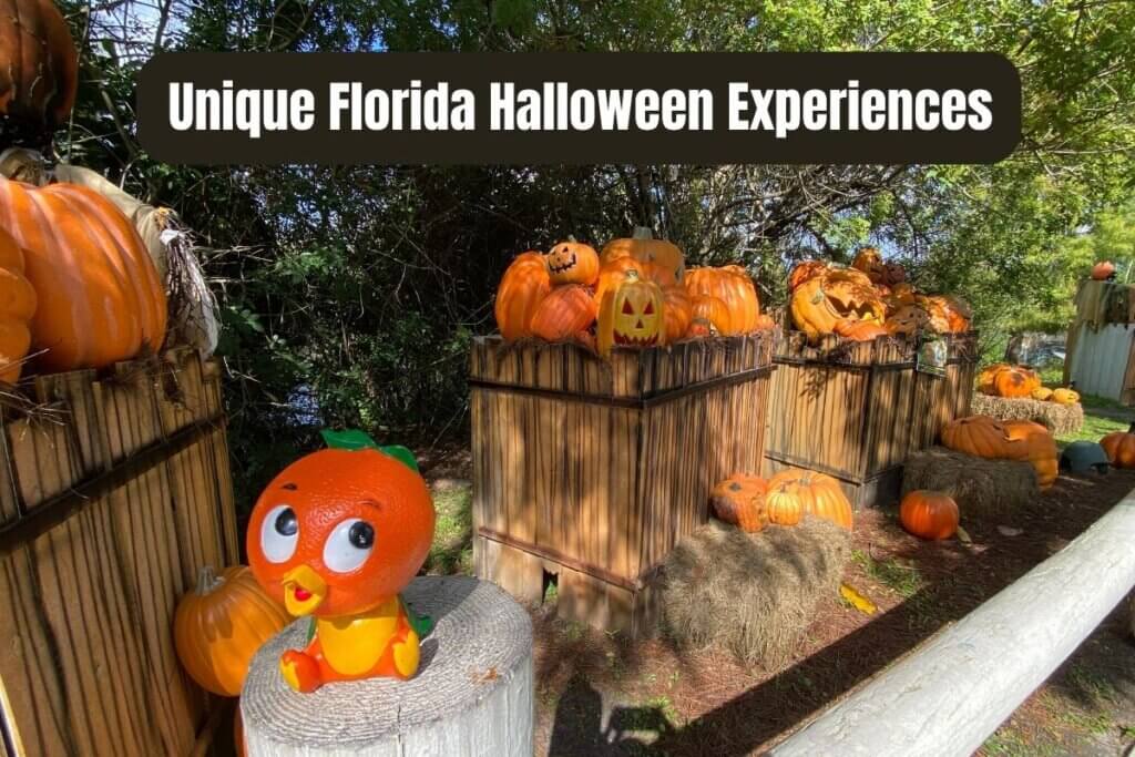 18 Unique Florida Halloween Experiences in 2023 • Authentic Florida