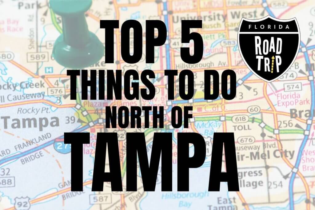 Top 5 Things to Do North of Tampa • Authentic Florida