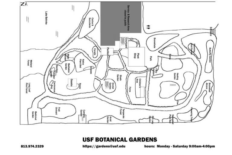 Top 5 Things to Do North of Tampa • Authentic Florida