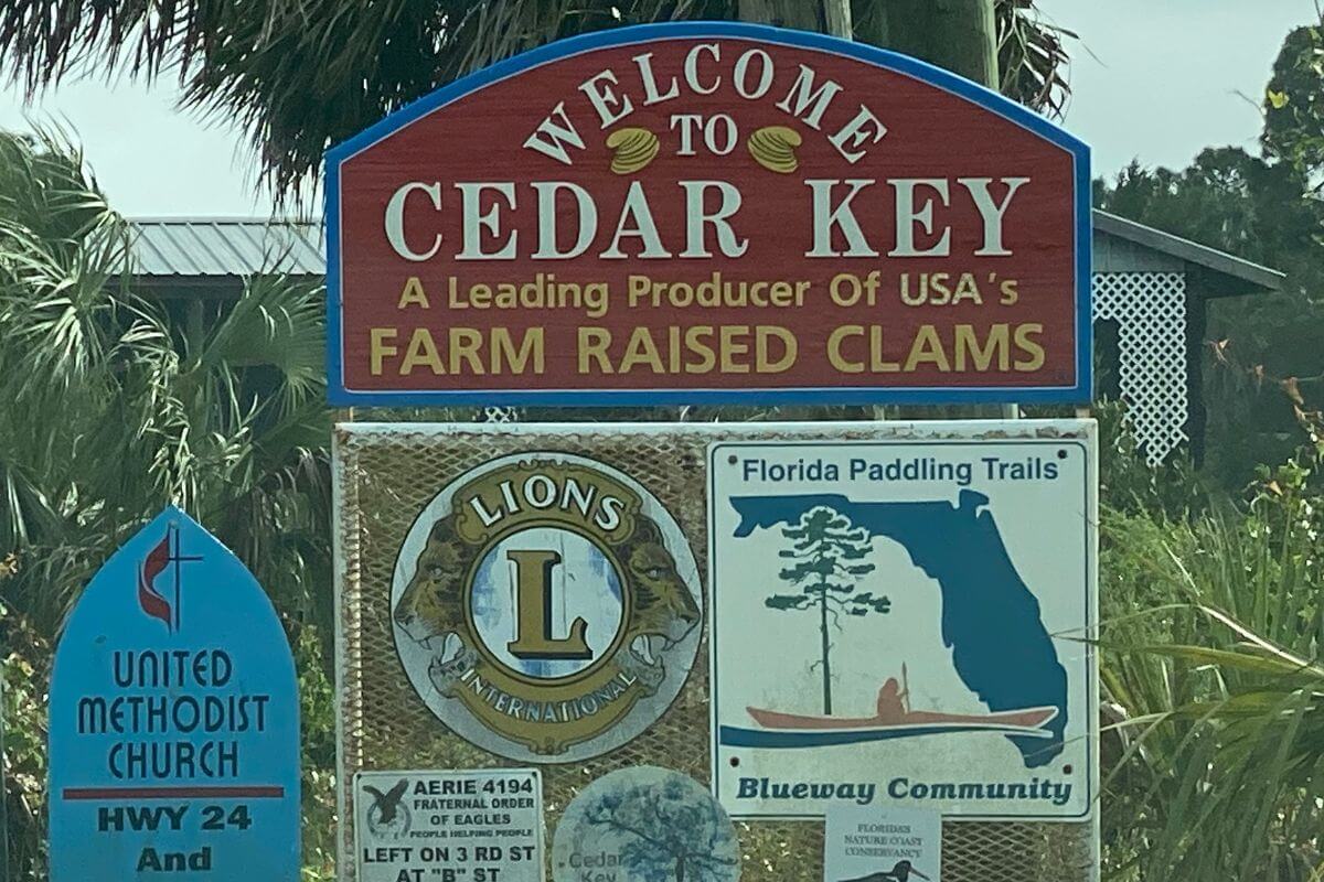 2024 Cedar Key Spring Arts Festival: A Slice of Old Florida