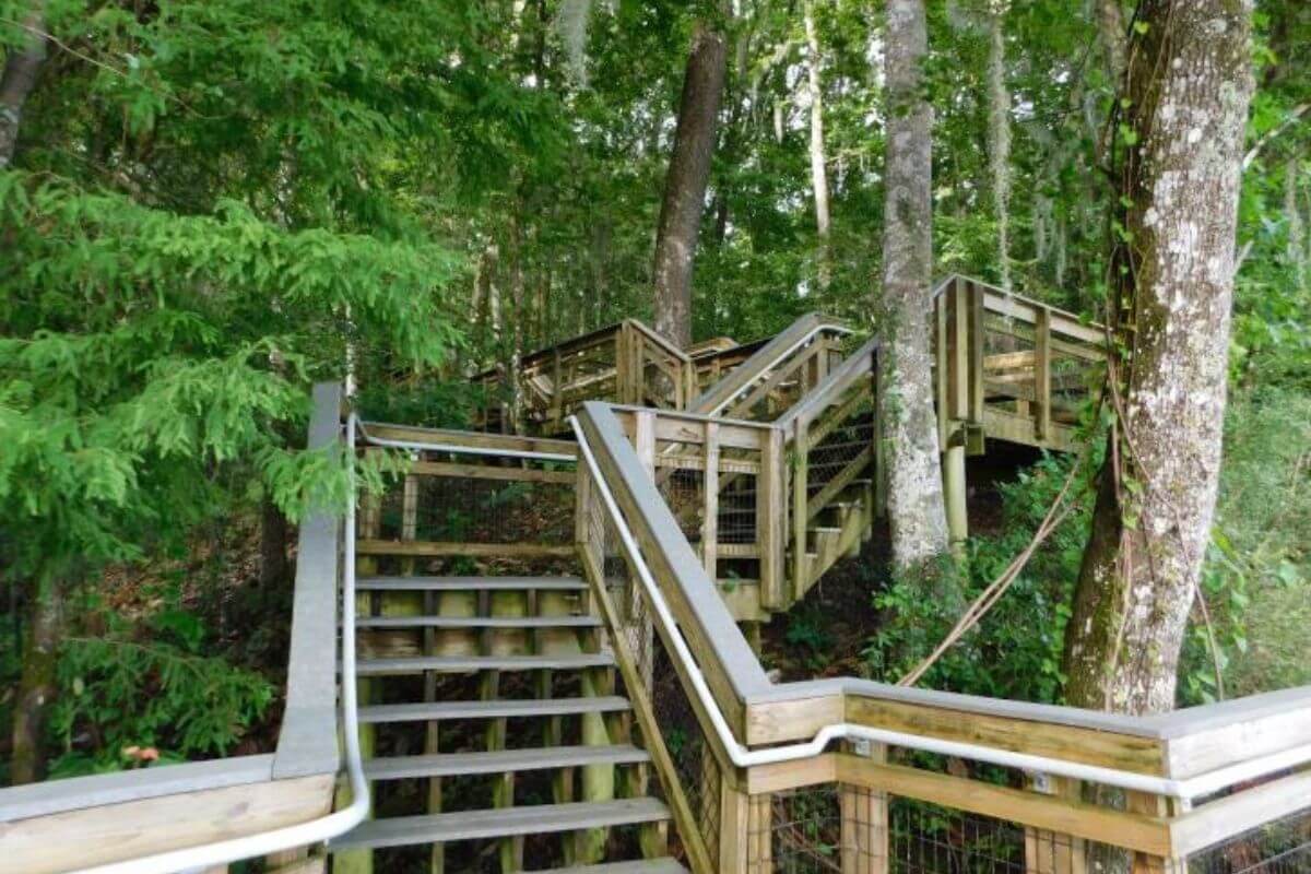 5 Best Things to Do in Quincy, FL • Authentic Florida