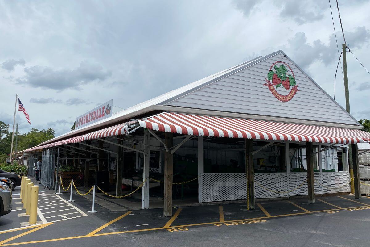 Why Florida Strawberries are the 'Berry Best'! - Authentic Florida
